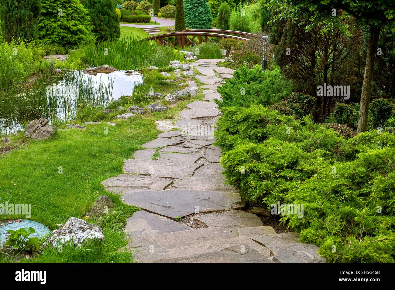 natural stone path along pond with water and reeds among green backyard ...