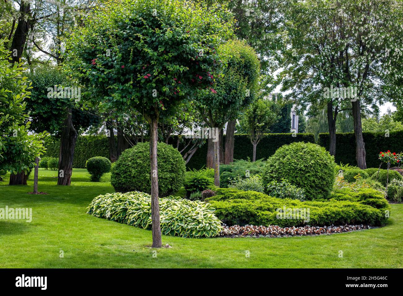 manicured park with green plants on a green lawn with a flower bed and ...