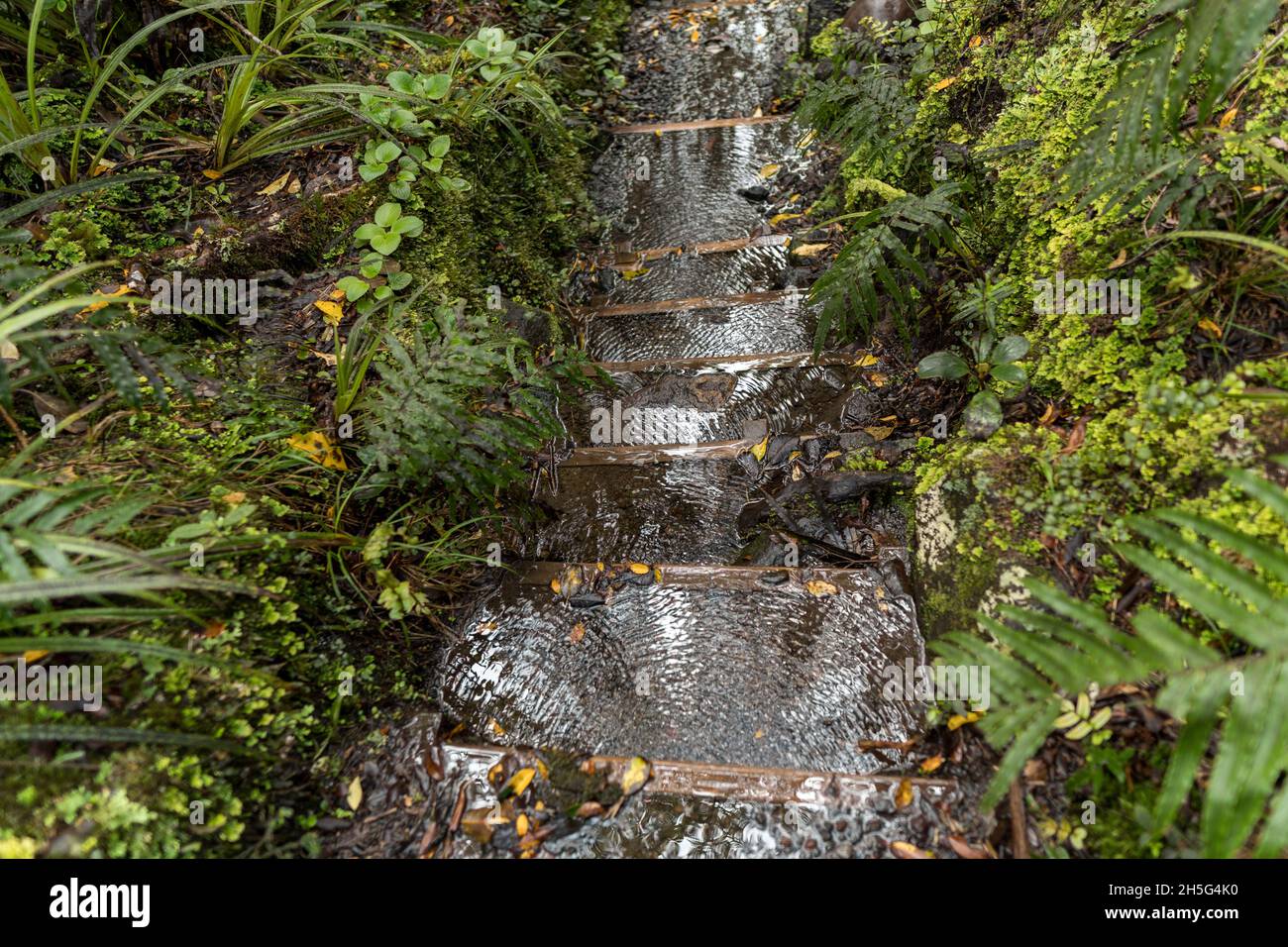 Wet stairs hi-res stock photography and images - Alamy