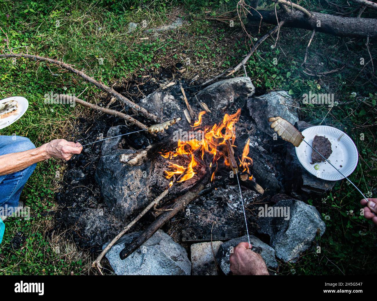 bacon roasted on bonfire flame in garden Stock Photo - Alamy