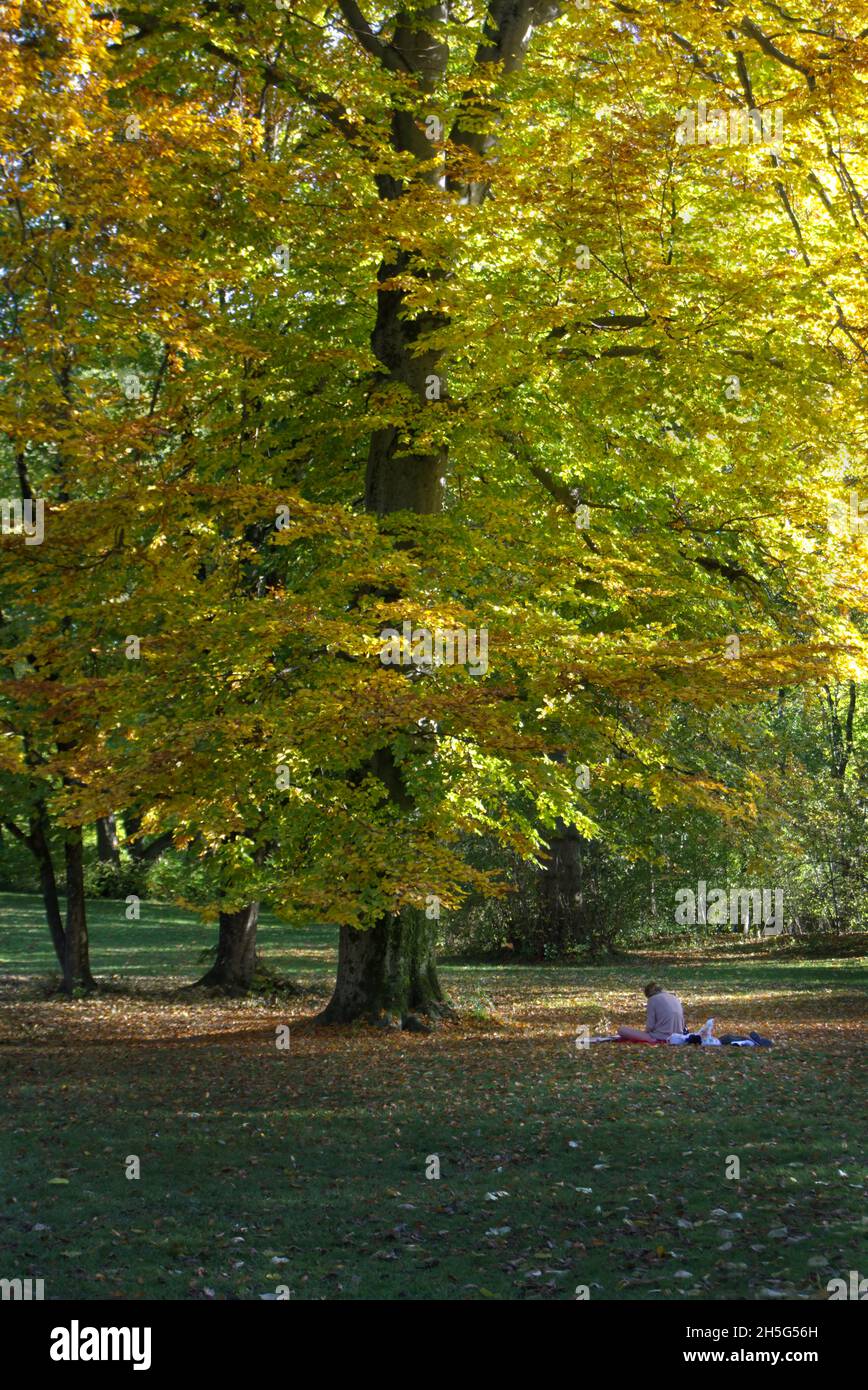 Relaxing person under a tree Stock Photo - Alamy