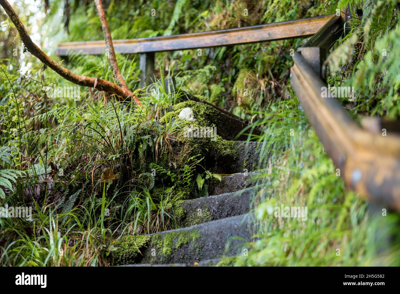 Wet stairs hi-res stock photography and images - Alamy