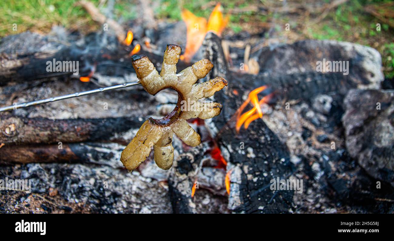 bacon roasted on bonfire flame in garden Stock Photo - Alamy