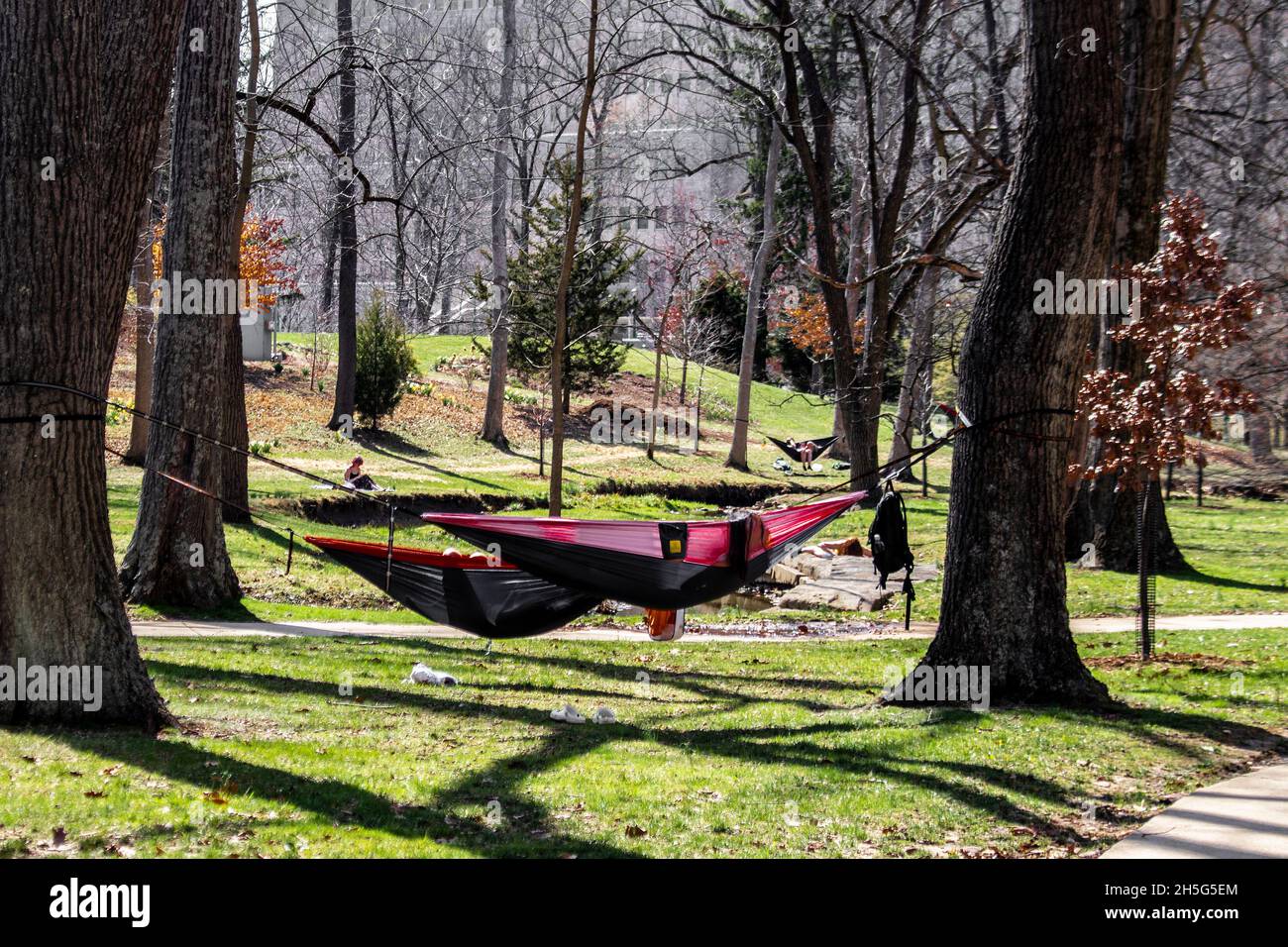 College campus in early spring with students in hammocks hung between ...
