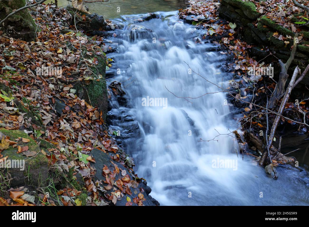 White water cascading down rapids on small river fallen leaves and ...