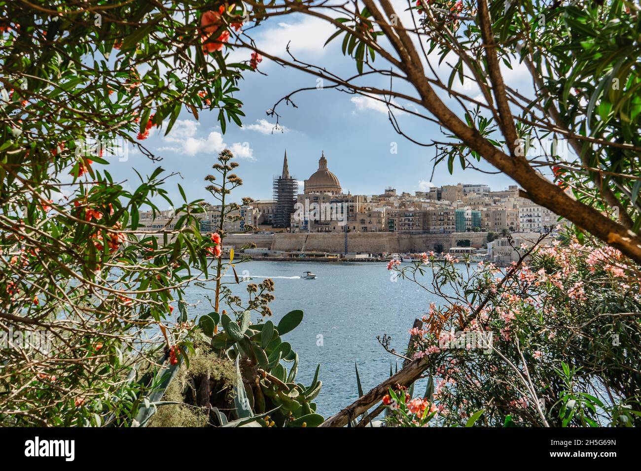 Valletta,capital of Malta.View through blooming trees of sea,small boat ...