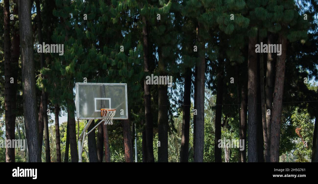 Basketball court in a forest with tall trees at background Stock Photo ...