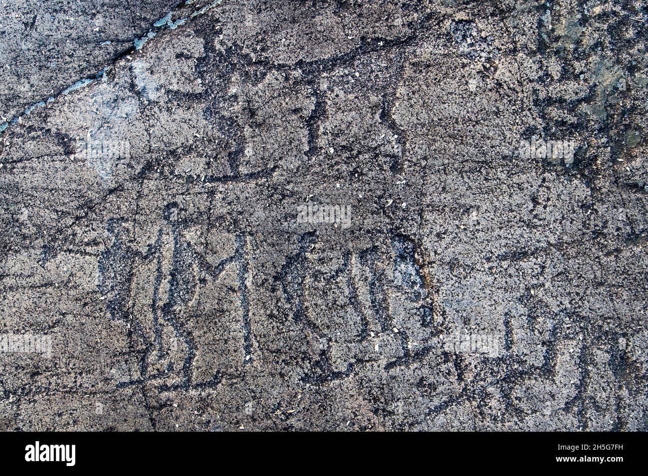 White Sea petroglyphs (ancient rock paintings) in Zalavruga, 4,5 ...