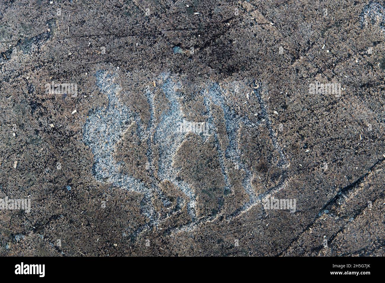 White Sea petroglyphs (ancient rock paintings) in Zalavruga, 4,5 ...