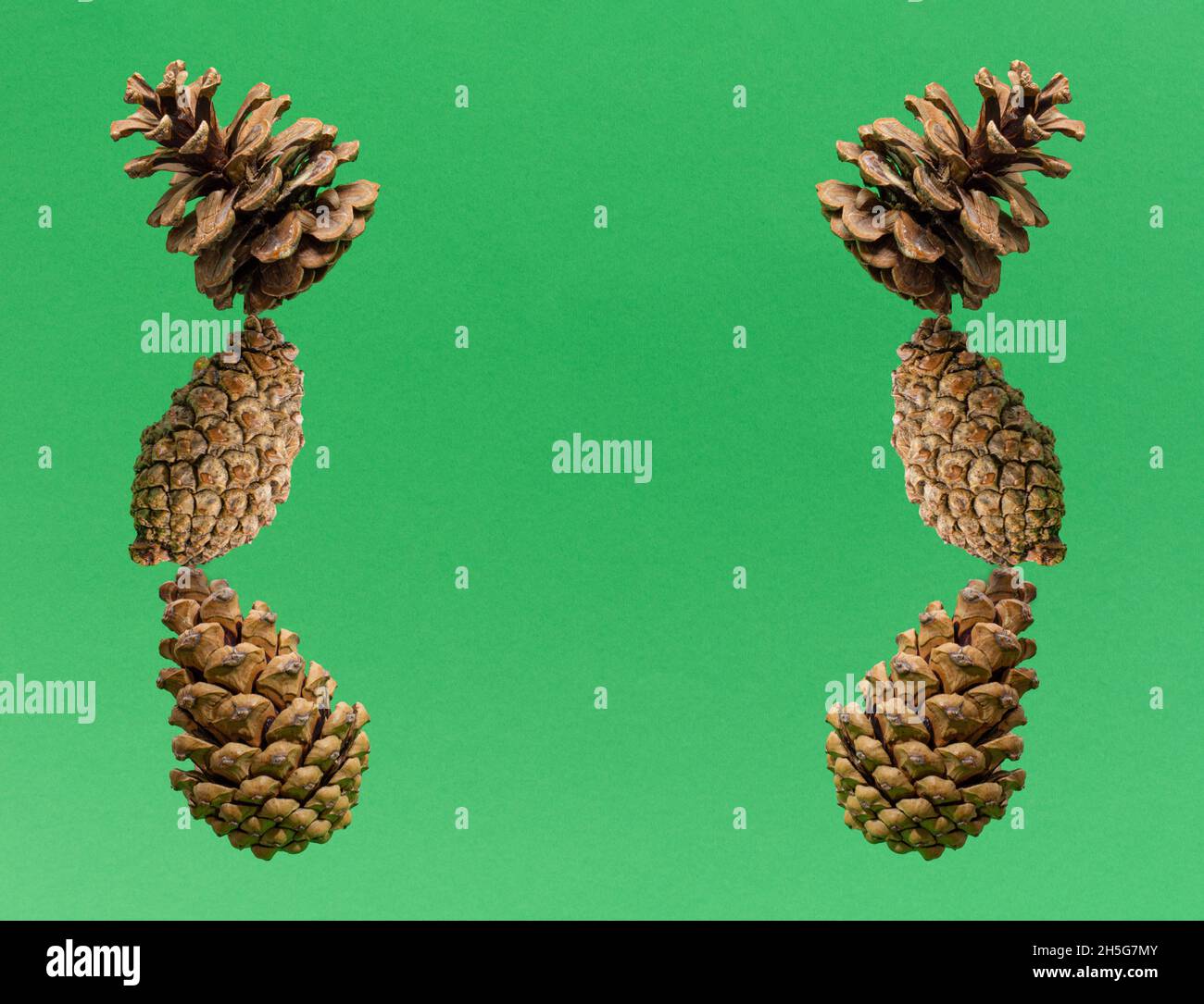 Christmas card made of levitating pine cones with copy space on a green background Stock Photo ...