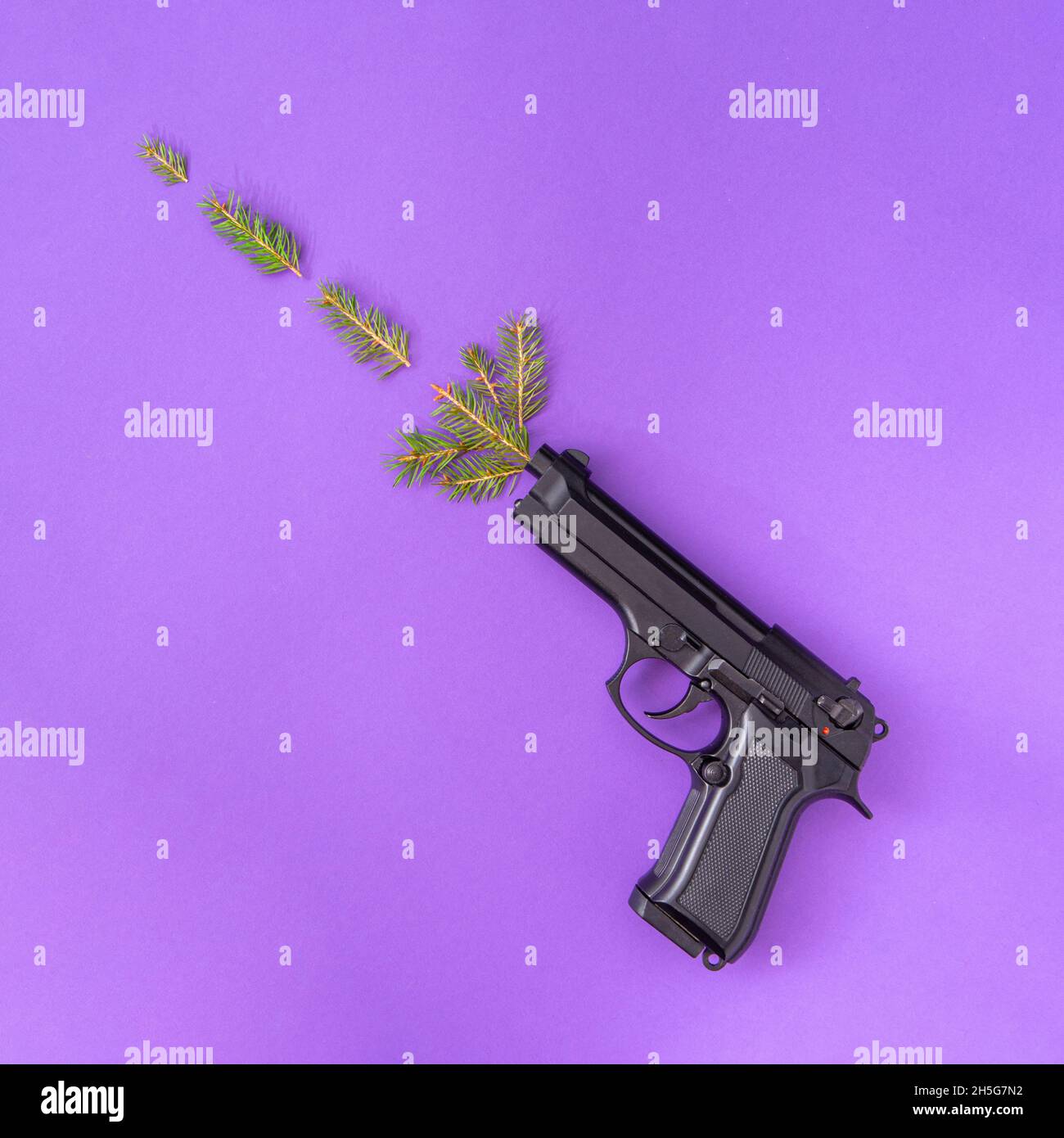 Gun firing fir branches instead of bullets on a purple background Stock ...