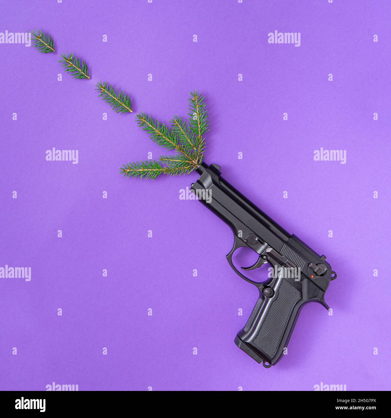 Gun firing fir branches instead of bullets on a purple background Stock ...
