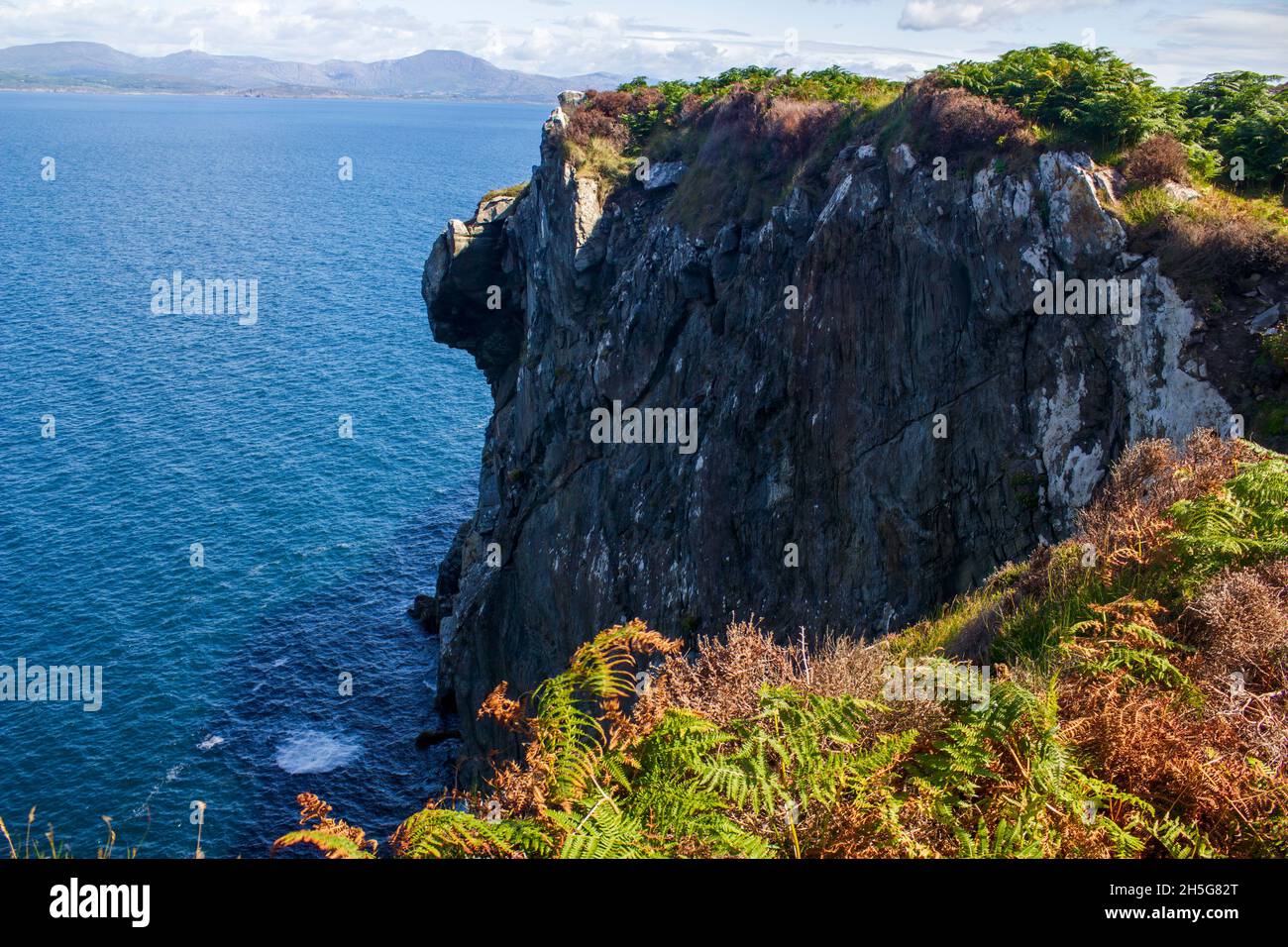 The cliffs of the Bantry Bay in County Cork, Ireland Stock Photo - Alamy