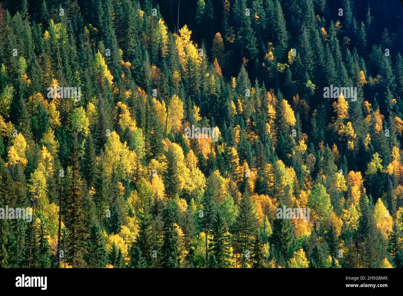 Aerial of the thompson river hi-res stock photography and images - Alamy