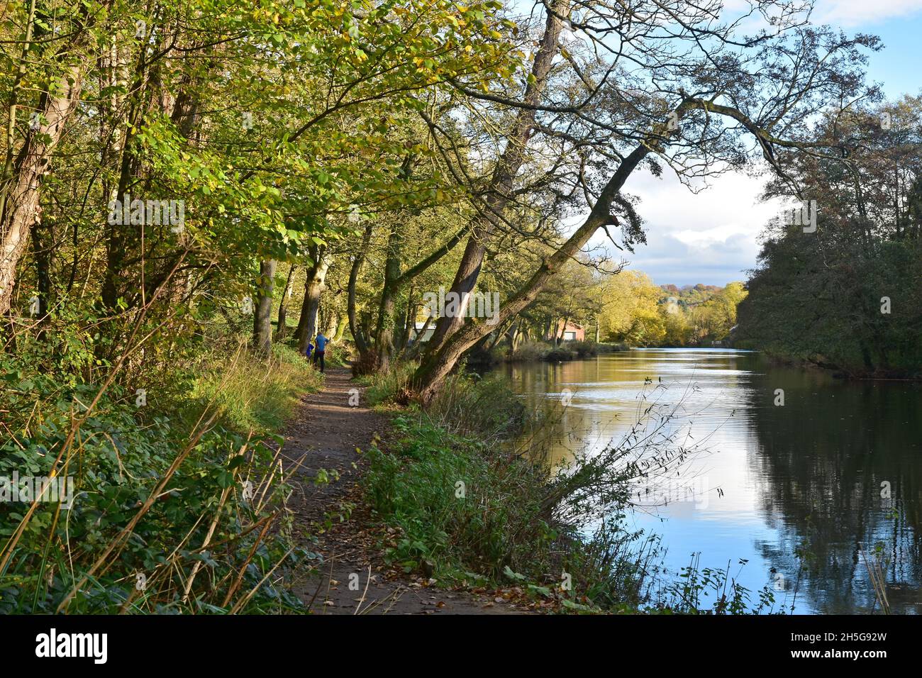 Woodland walk by the River Aire, Saltaire, Shipley in Autumn sunshine ...