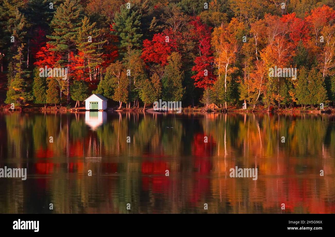 Meech Lake in Autumn, Gatineau Park, Quebec, Canada Stock Photo - Alamy