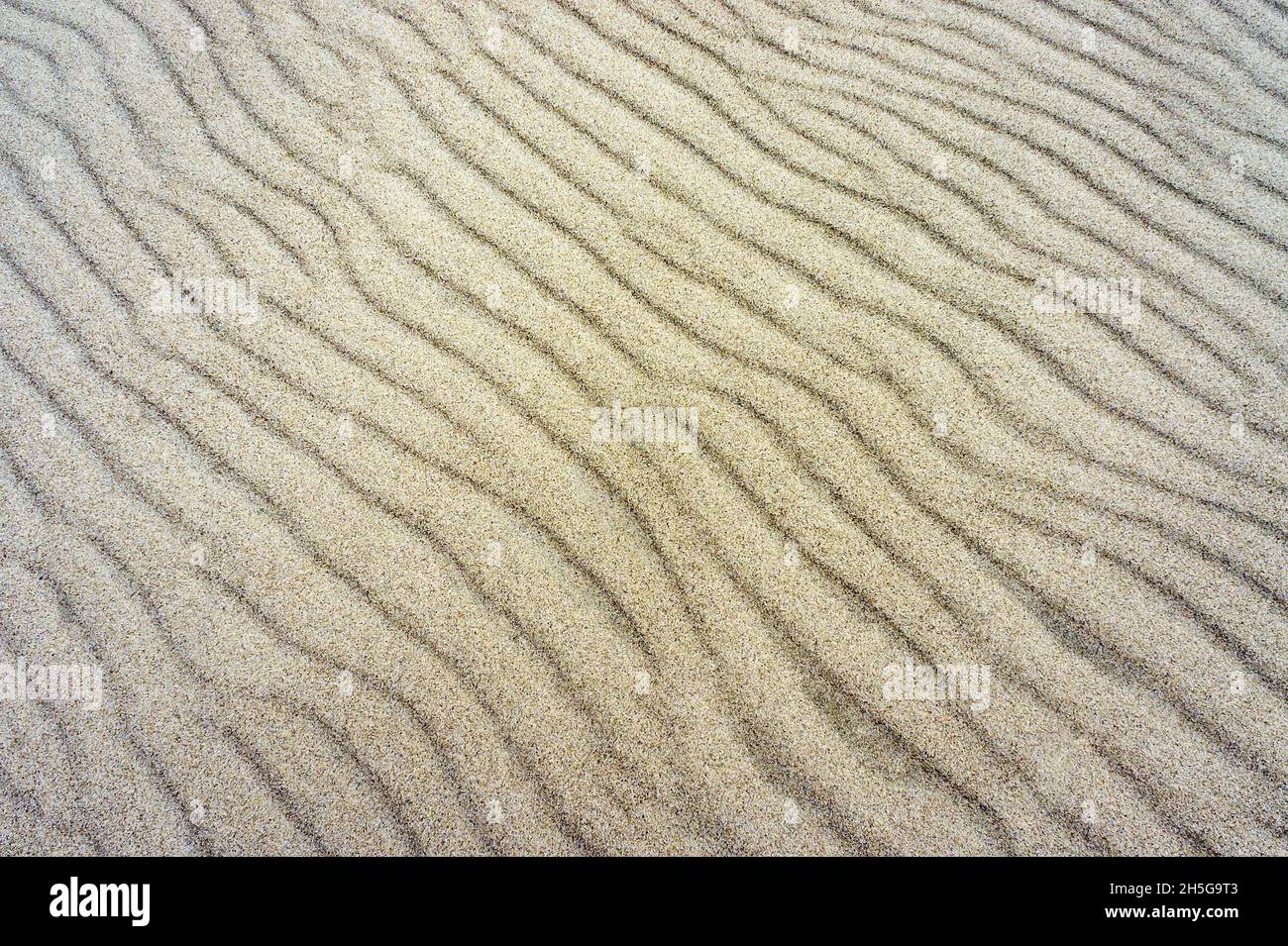 Natural sea sand and river sand. Sea sand. Sandy background. Sandy ...