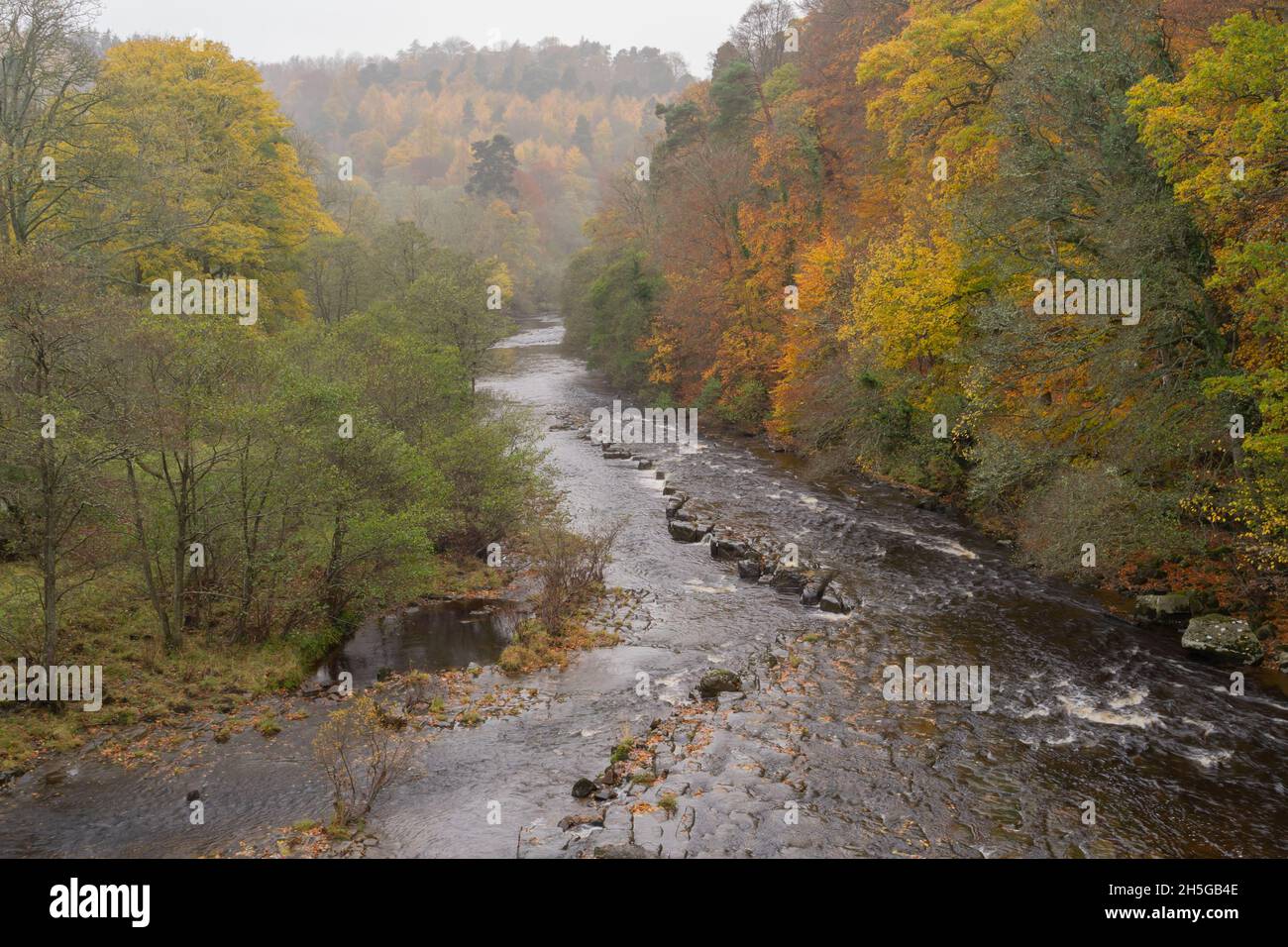 The River Allen at Whitfield in Northumberland Stock Photo - Alamy