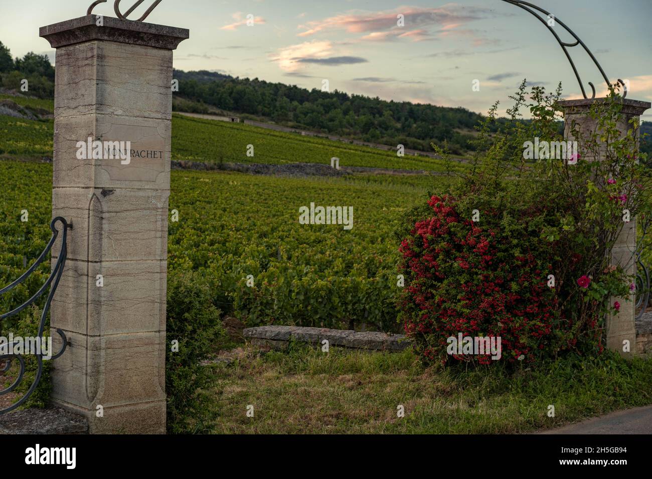 Entry gates of vineyards in Mersault Stock Photo - Alamy
