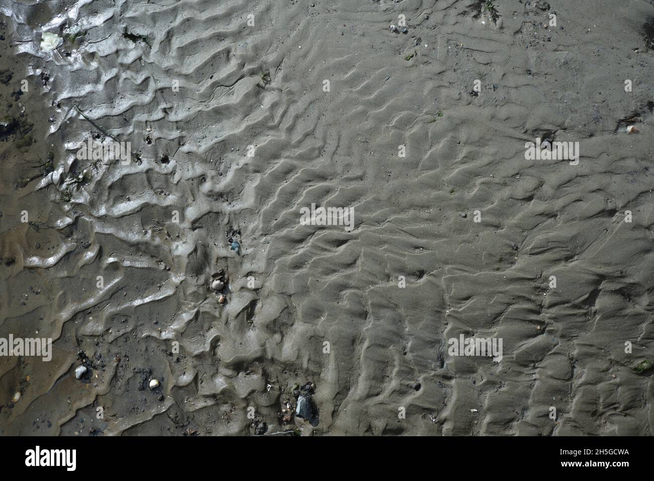 Natural textured surface of wet sand and little stones at a beach in ...