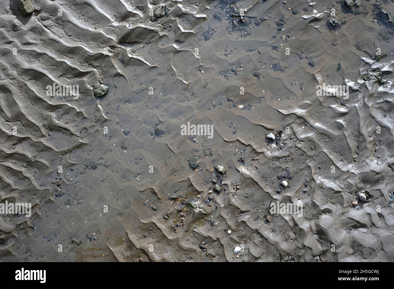 Natural textured surface of wet sand and little stones at a beach in ...