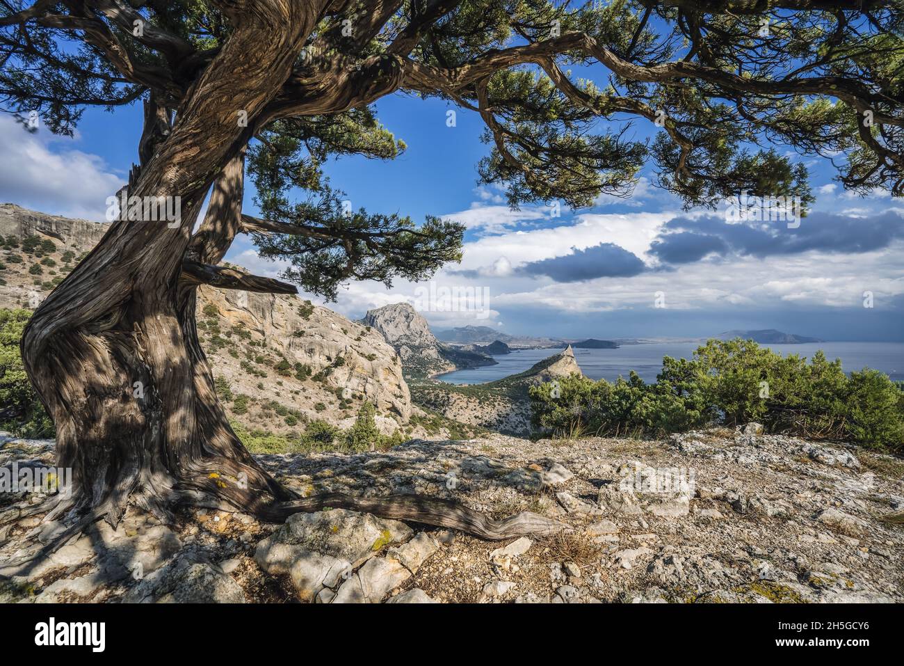 Golitsynskaya trail hi-res stock photography and images - Alamy