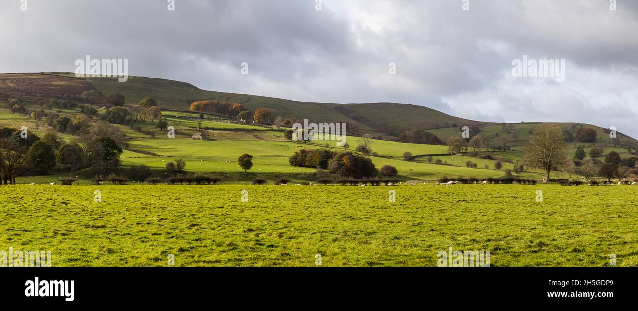 Offerton hi-res stock photography and images - Alamy
