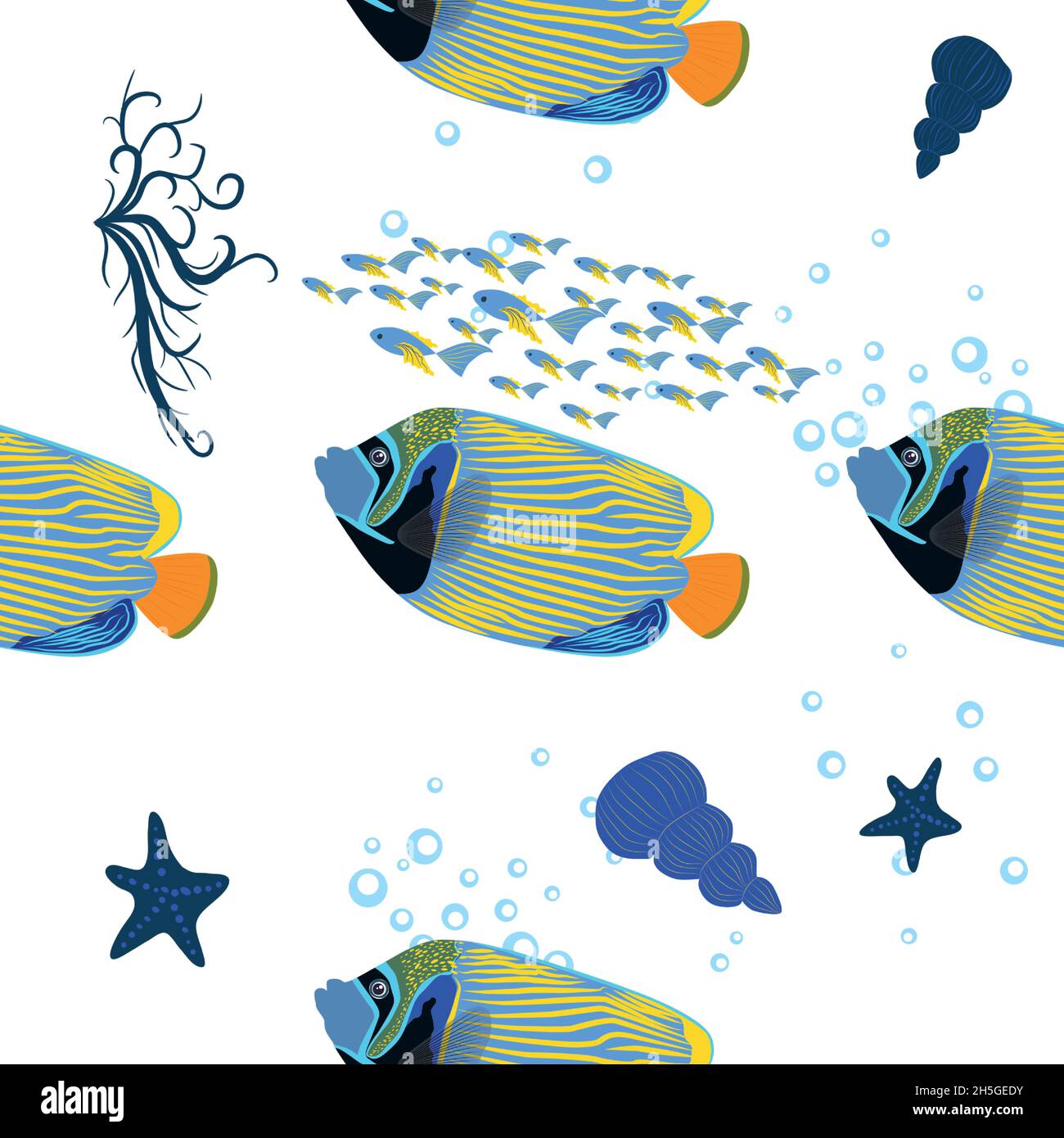 Emperor angelfish, Pomacanthus imperator seamless patterns, sea animal ...