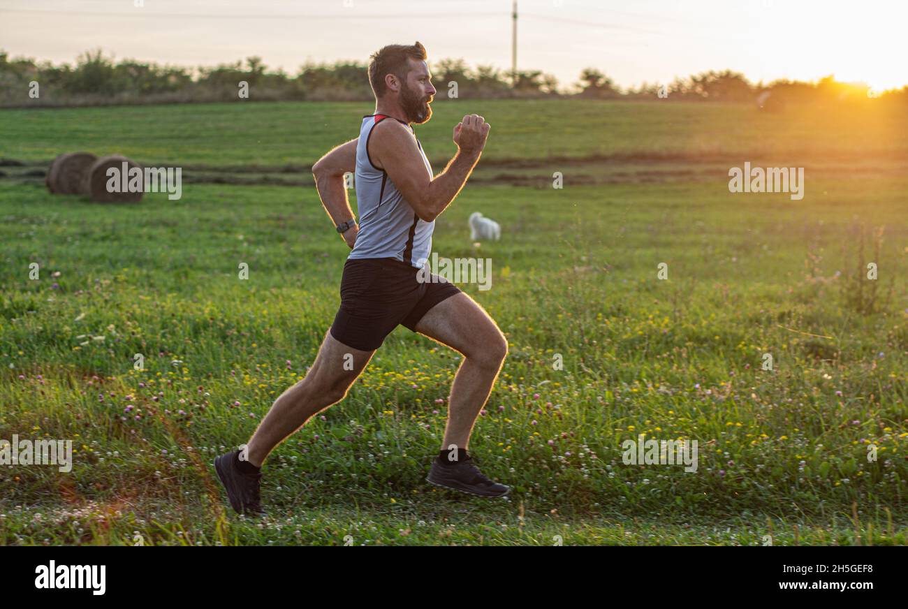 sunset and running young man . man running on meadow at sunset active ...