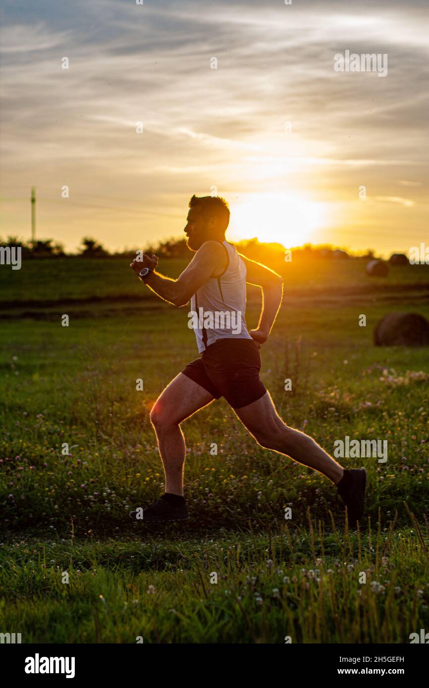 sunset and running young man . man running on meadow at sunset active ...