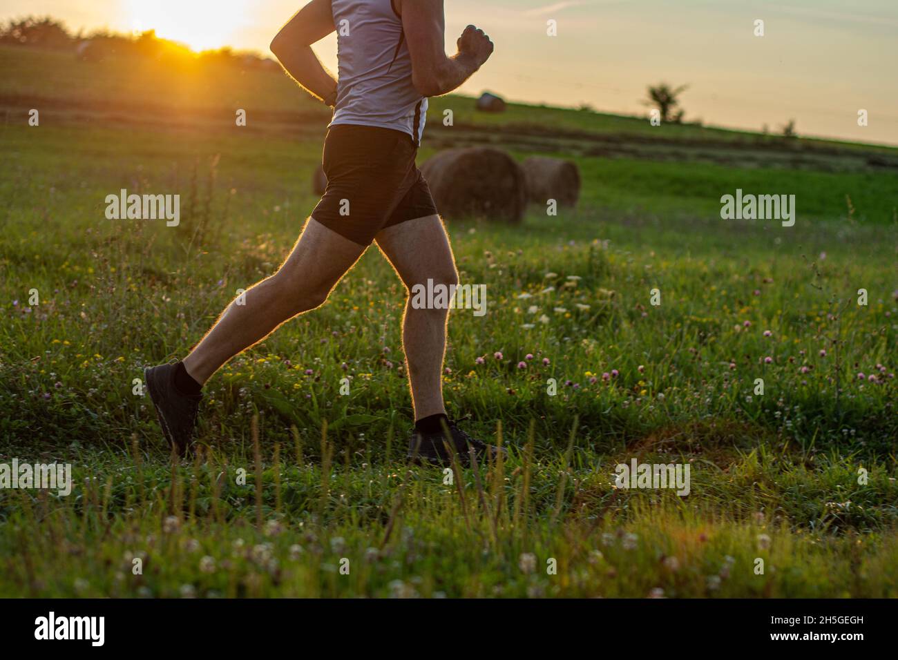 sunset and running young man . man running on meadow at sunset active ...