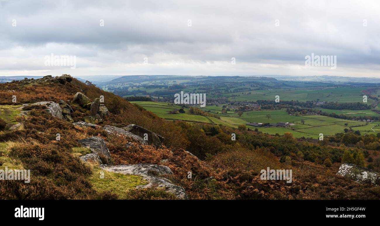 Brown colours in the foliage seen on the high ridge at Baslow Edge in ...