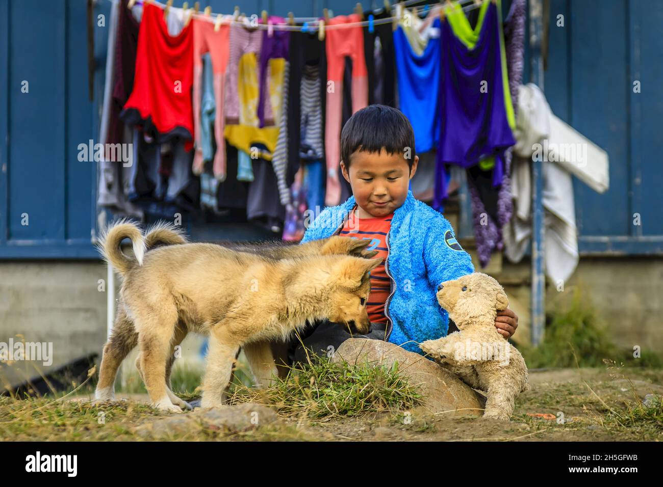 A Young Inuit boy plays with sled dog puppies Stock Photo - Alamy
