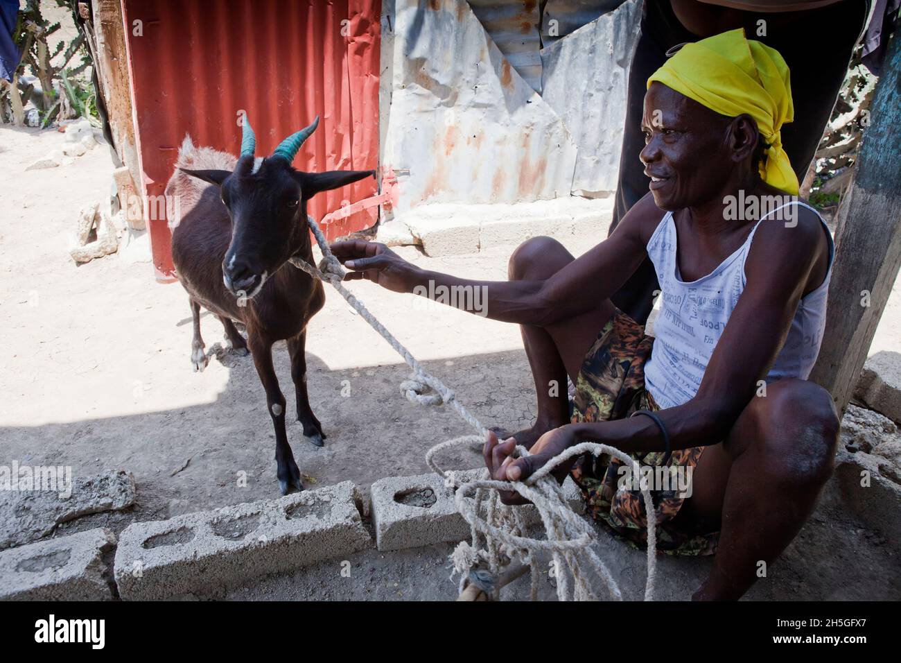 Livestock donation hi-res stock photography and images - Alamy