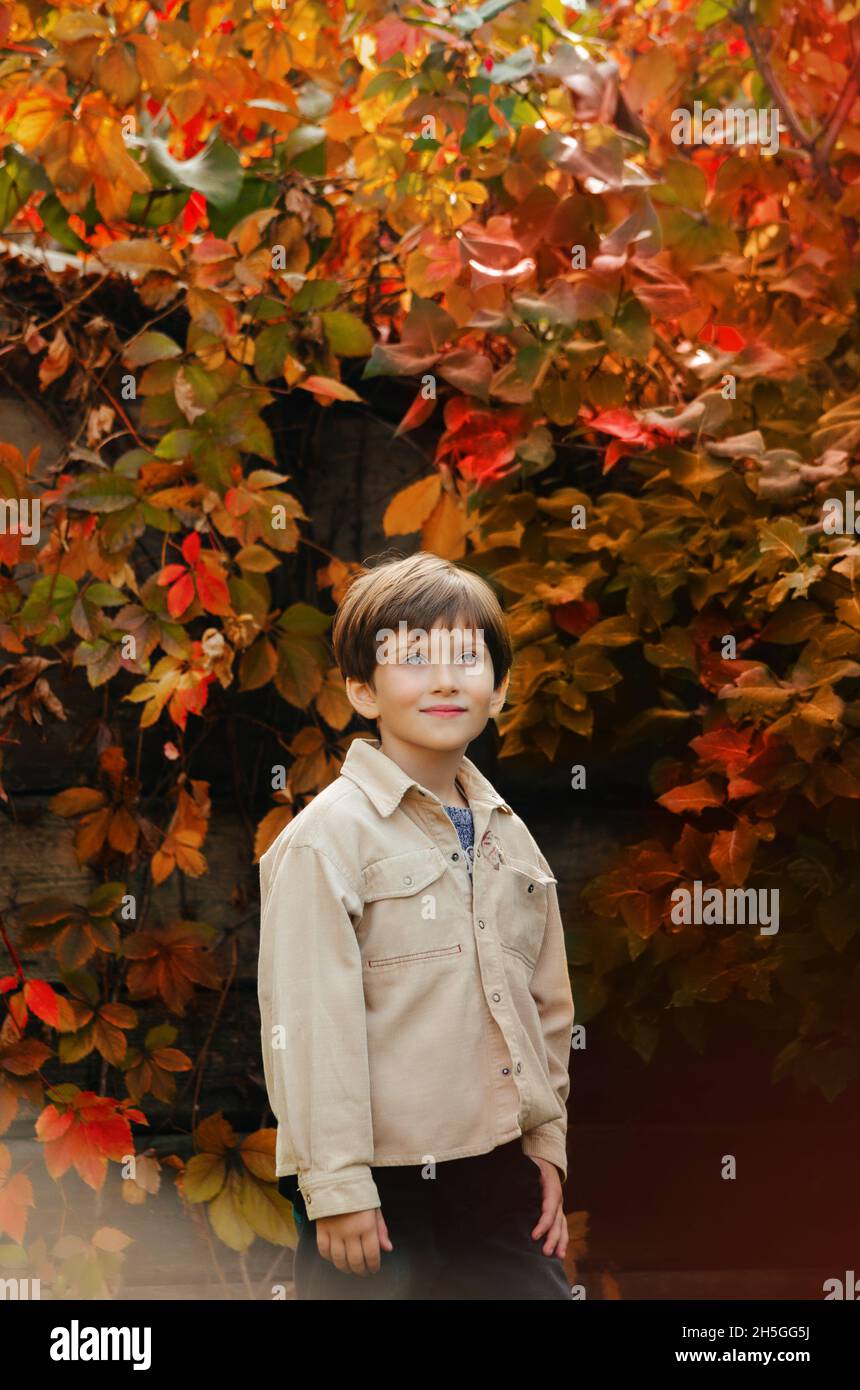 Little boy in Autumn park. Autumnal mood. Smiling kid walking in autumn ...