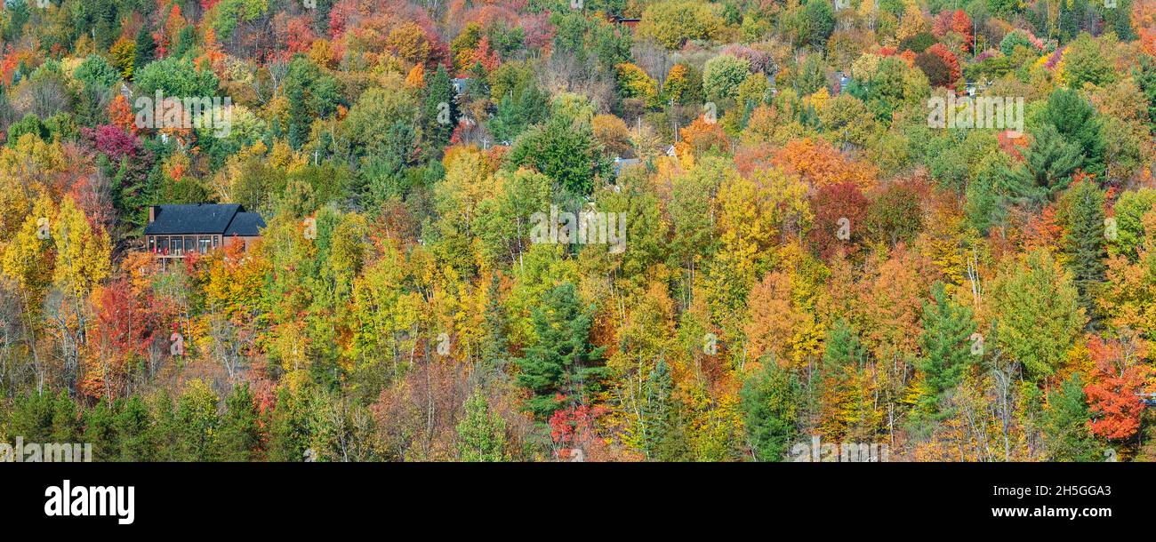 House in the countryside tucked away in autumn coloured foliage; Quebec ...
