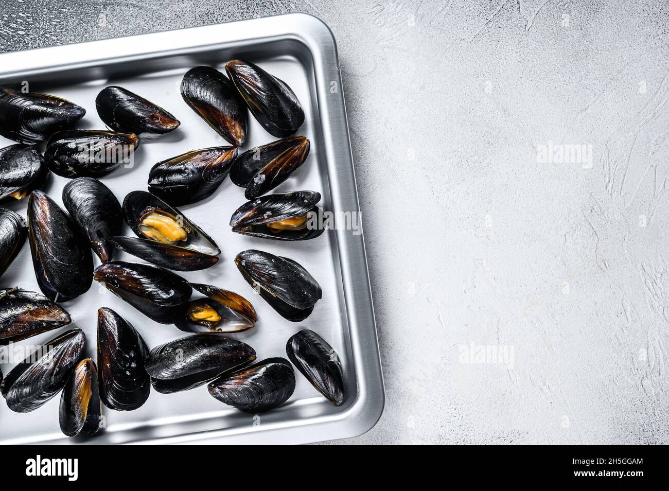 Raw blue mussels shells in kitchen steel tray. White background. Top ...