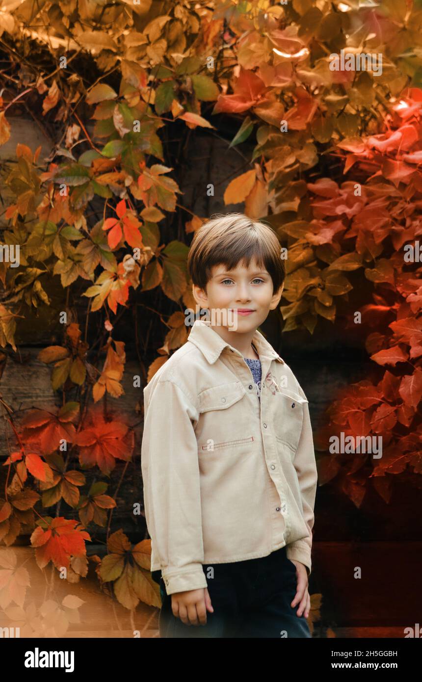 Little boy in Autumn park. Autumnal mood. Smiling kid walking in autumn ...