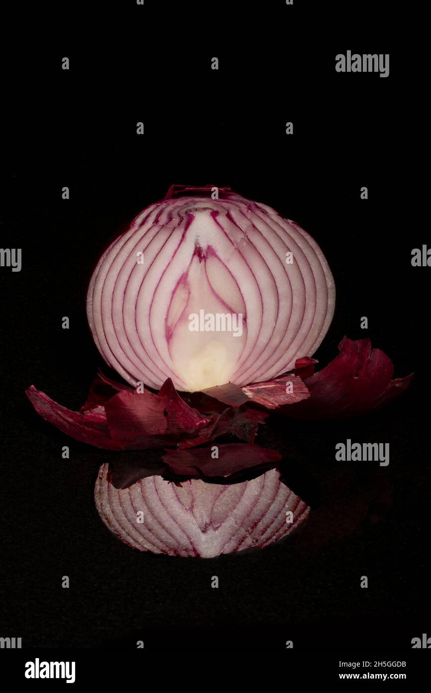 Structure of onion hi-res stock photography and images - Alamy