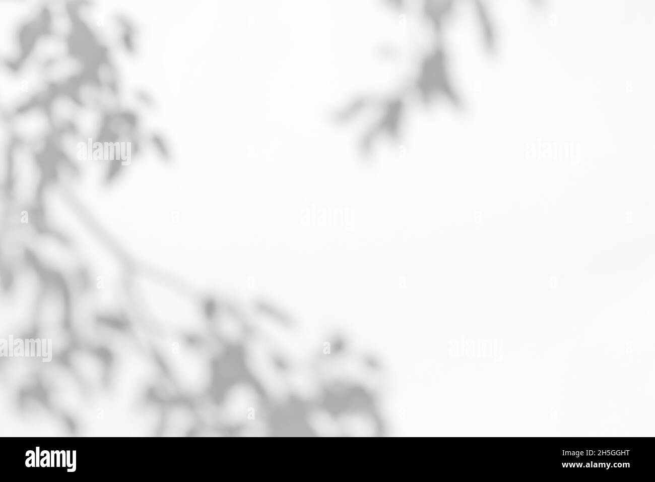 Shadow overlay effects for branding. Mockups. Scenes of natural ...