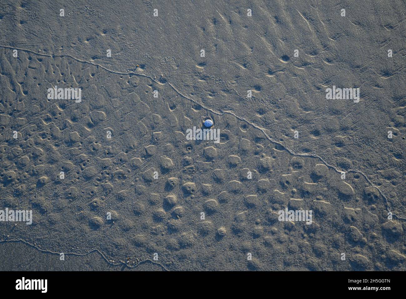 alien landscape on the beach Stock Photo - Alamy
