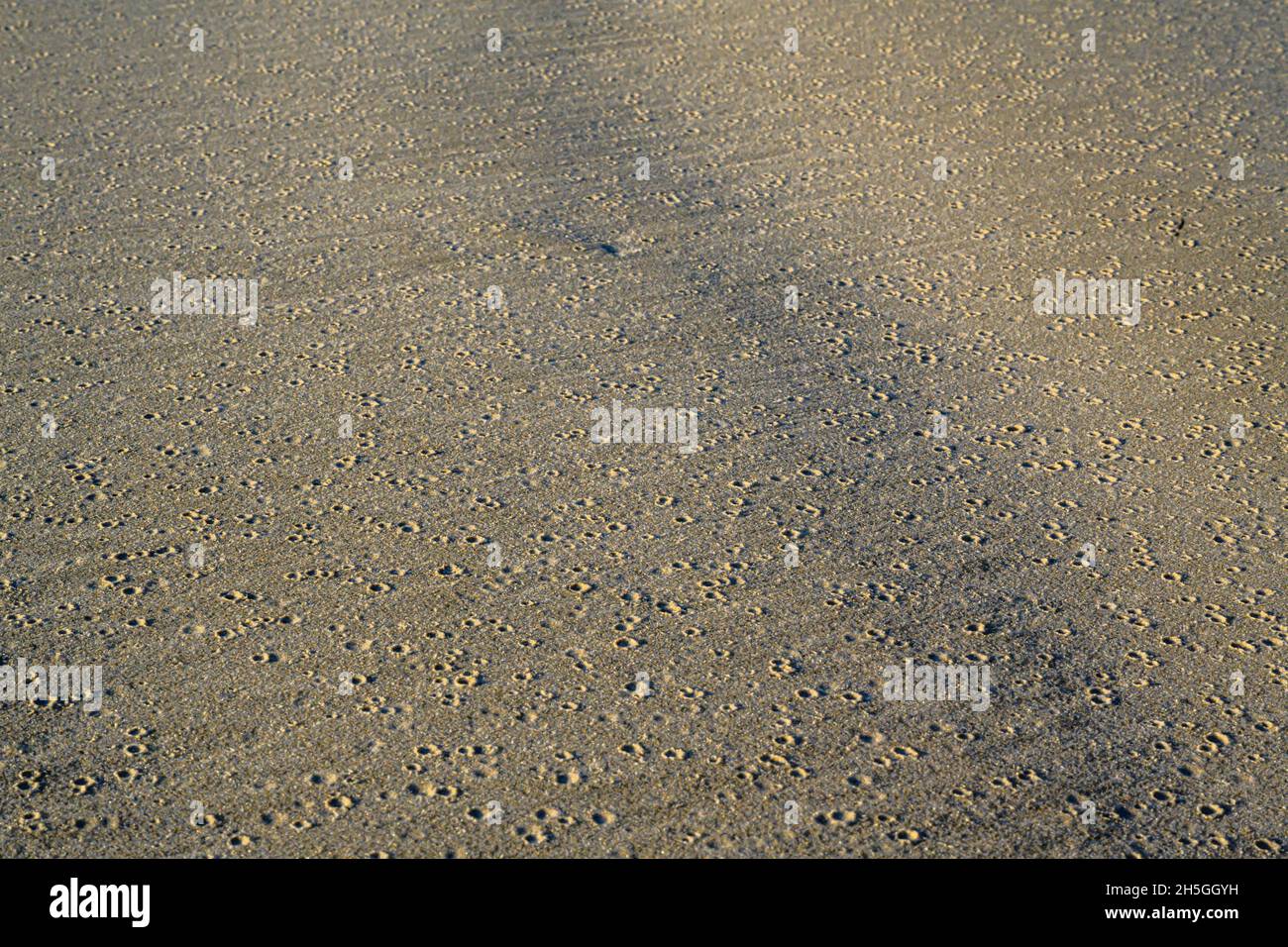 Pockmarks hi-res stock photography and images - Alamy