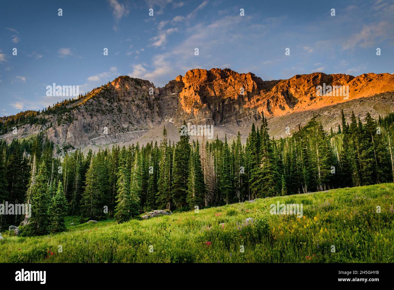 Beautiful green meadow with trees on a mountainside near cliffs Stock ...