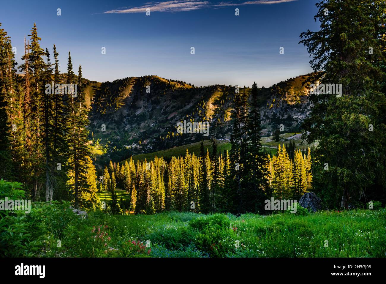 Beautiful view of green forests and cliffs under a blue sky Stock Photo ...