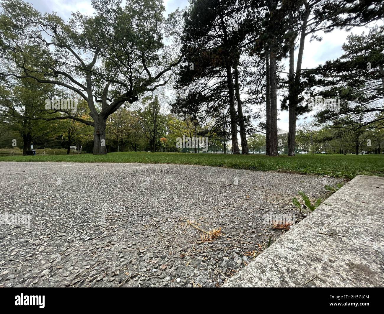 Beautiful park with green trees and nobody around Stock Photo - Alamy