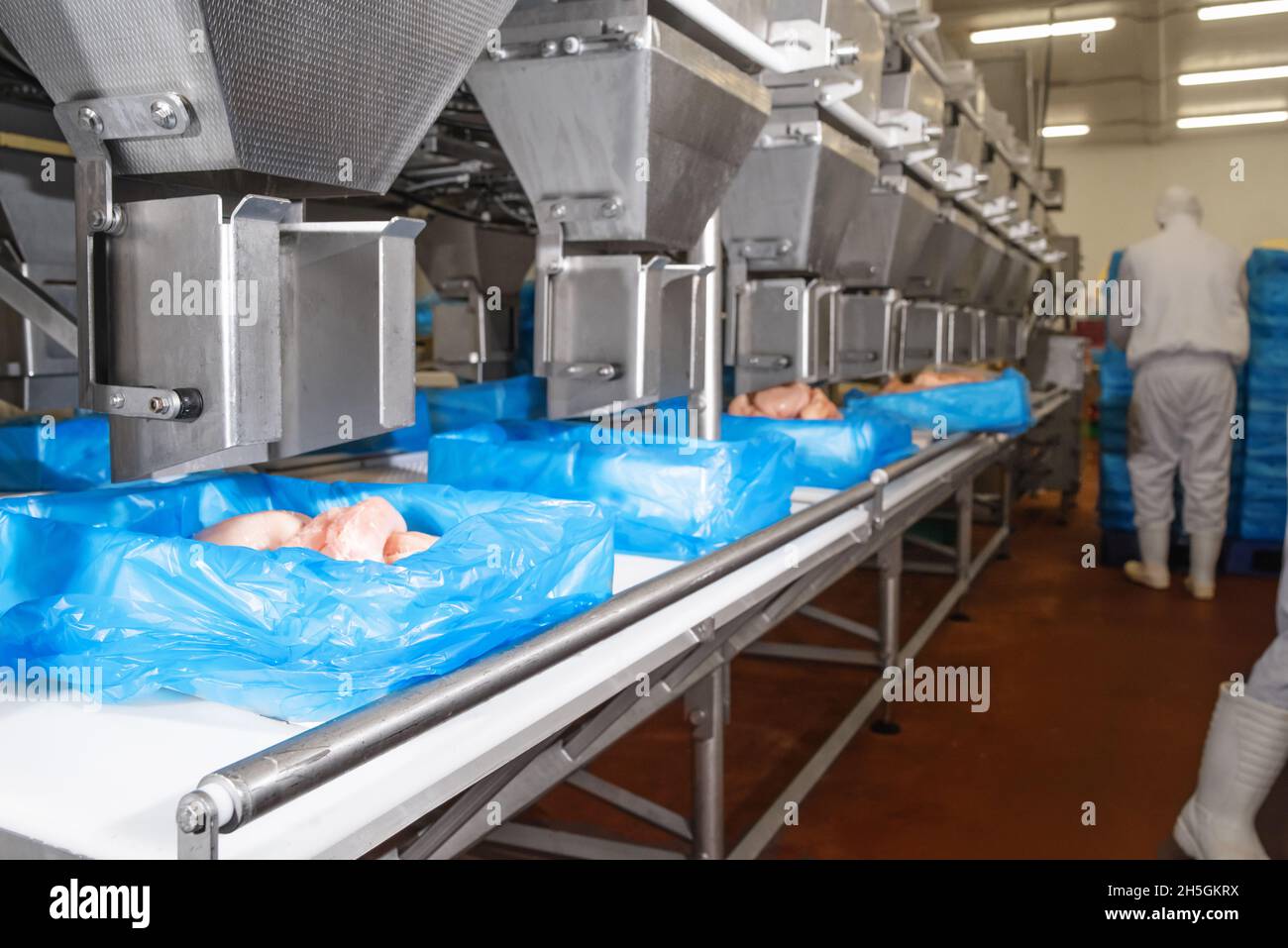 Modern poultry processing plant.Factory for the production of food from ...