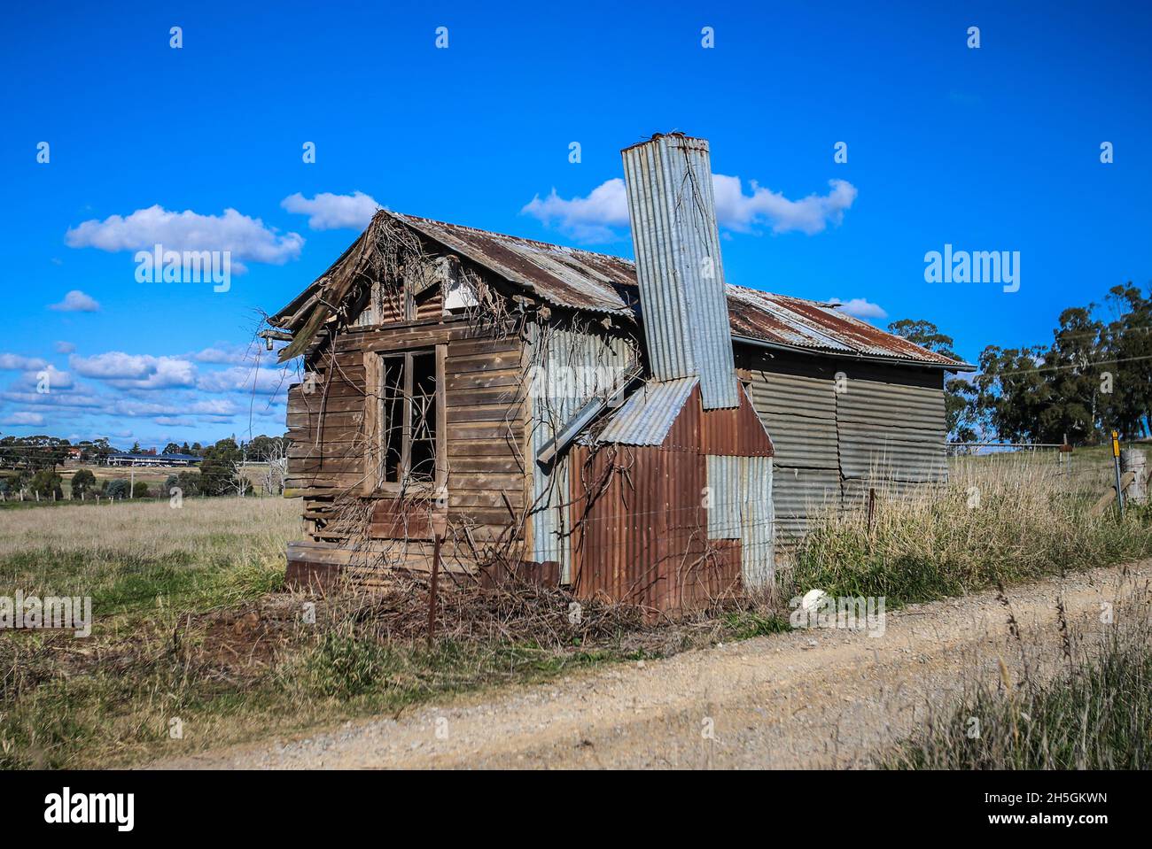 Visitorange hi-res stock photography and images - Alamy