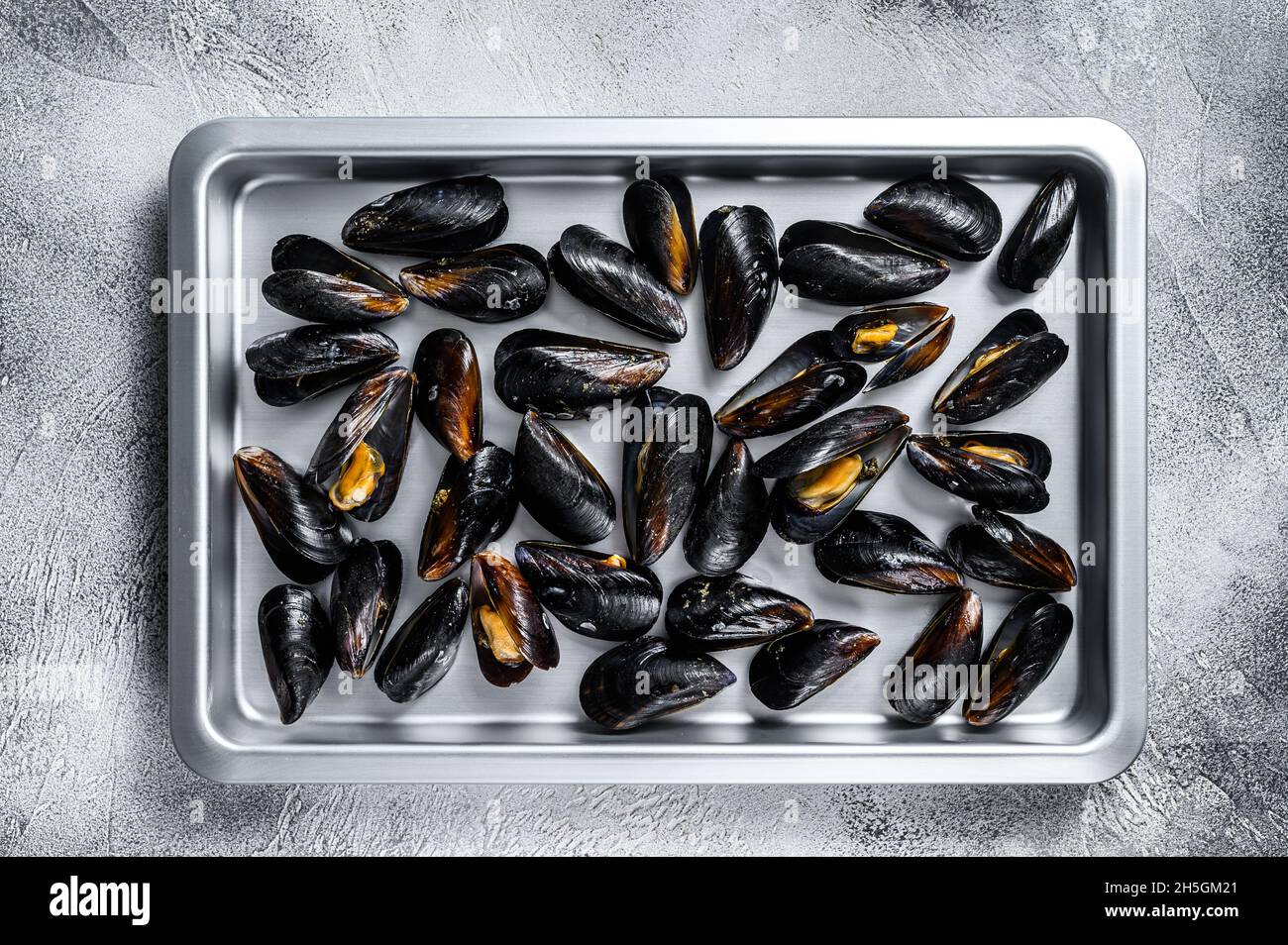 Seafood fresh blue mussels in kitchen steel tray. White background. Top ...
