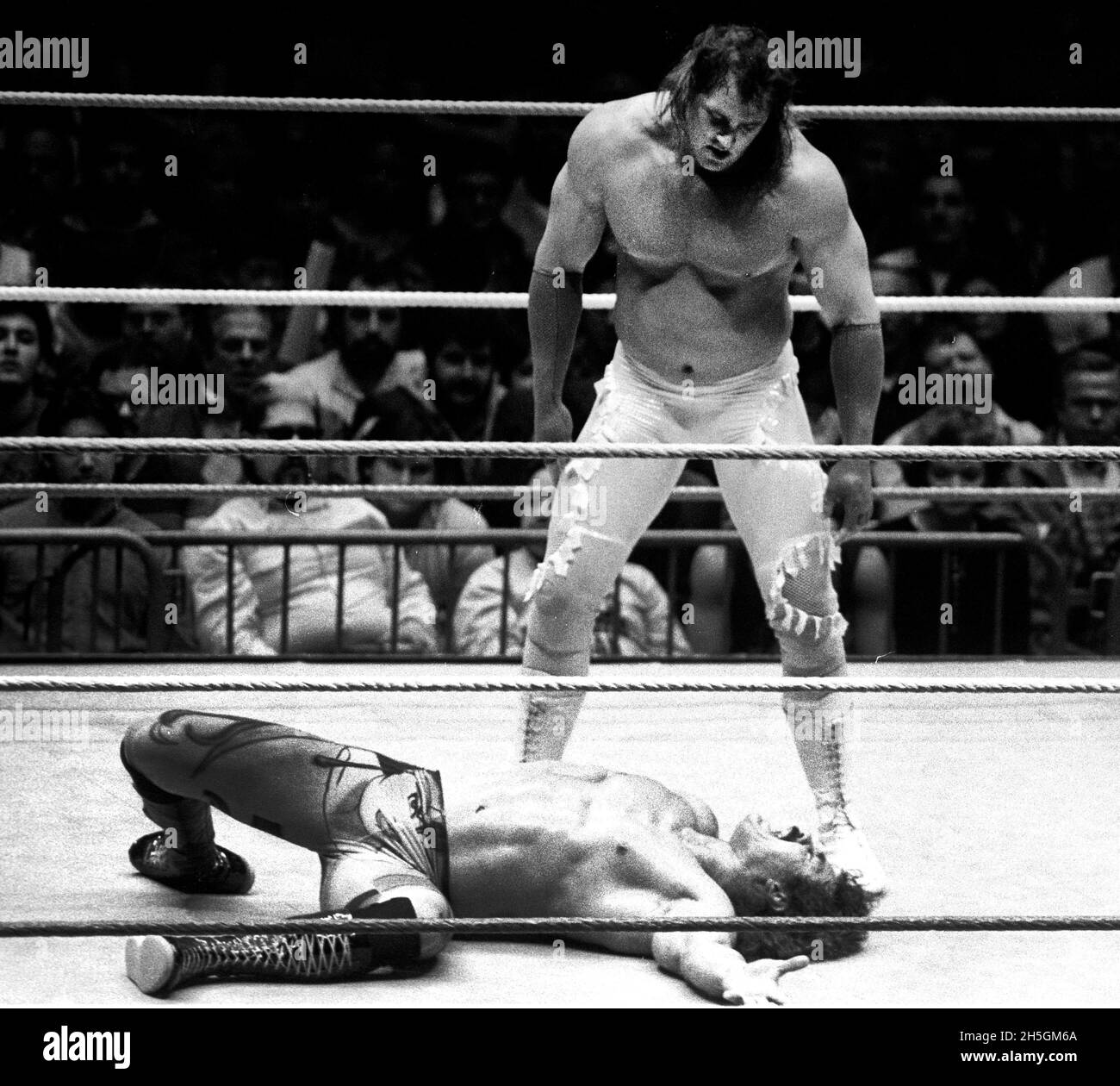 Brutus the Barber Beefcake Rick Rude 1987 Photo by John Barrett ...