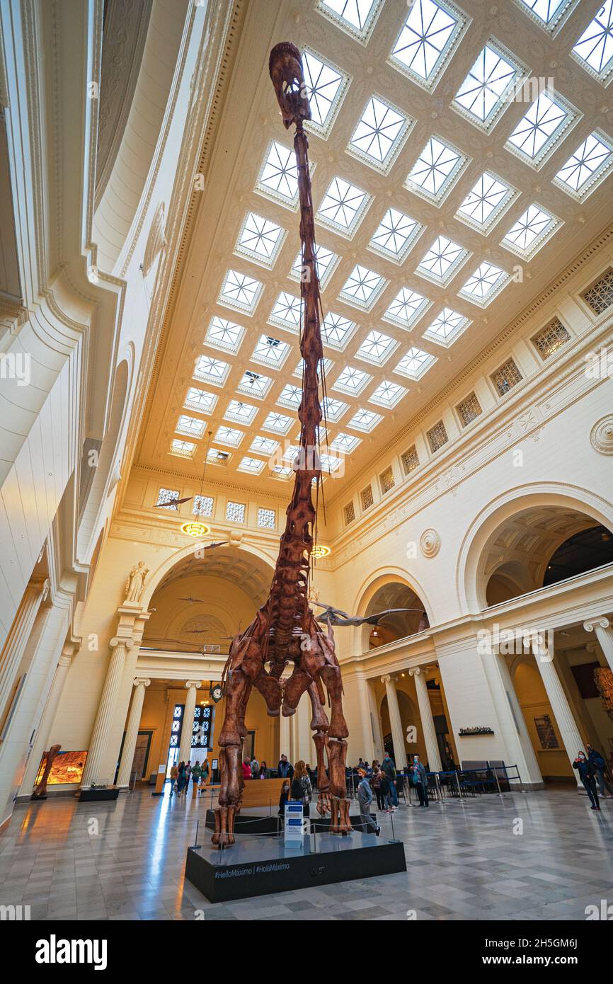 Patagotitan fossil hi-res stock photography and images - Alamy